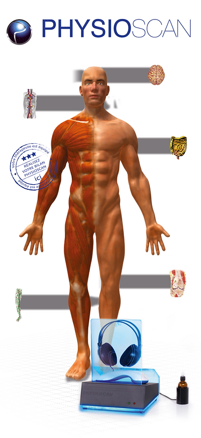 Le physioscan | Sarah Kremer Naturopathe